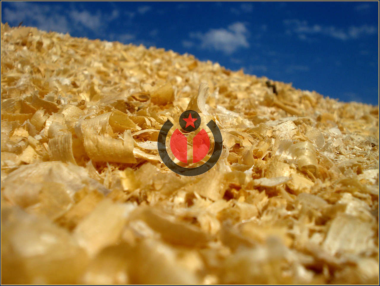 Eagle Perfect – Chapter Eleven: The Classification | ThermoCow